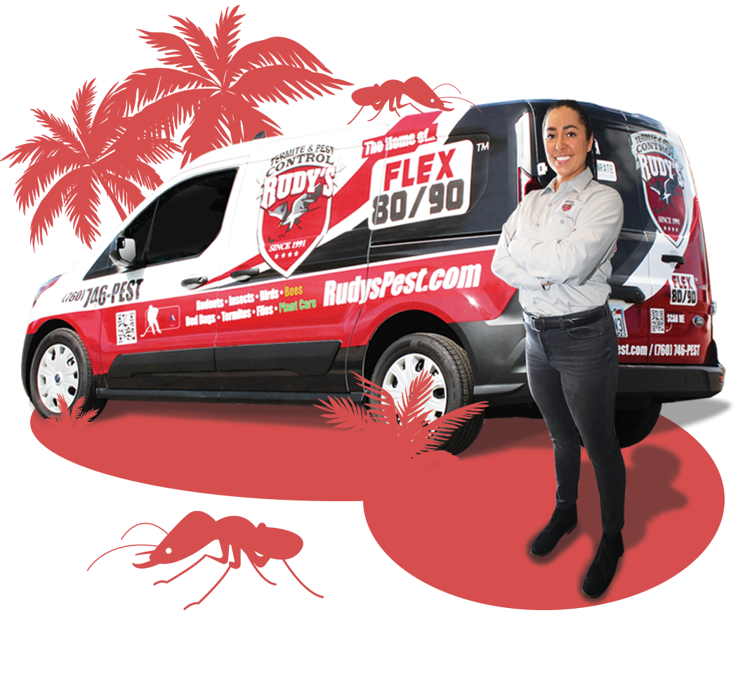 What to Do Before a Termite Inspection - Rudy's Termite & Pest Control