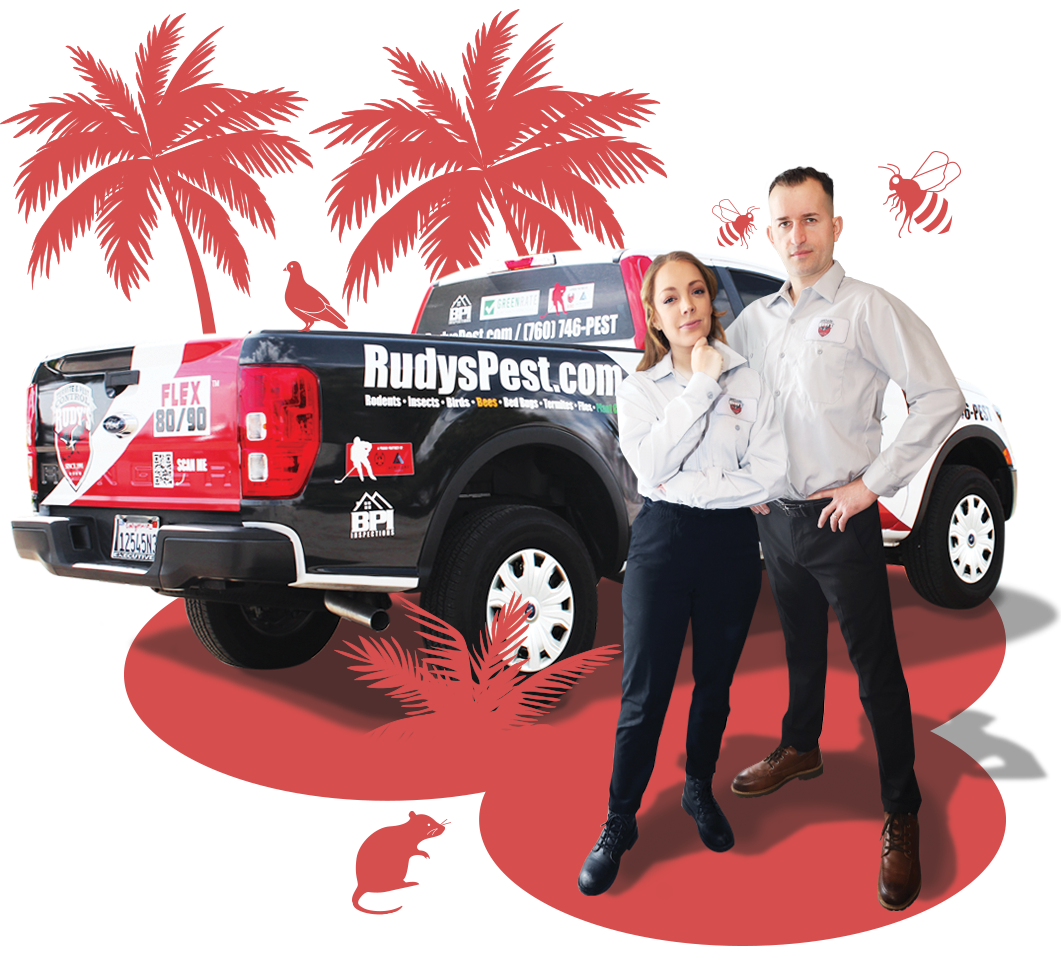 Birds, Bees & Rodents - Rudy's Termite & Pest Control